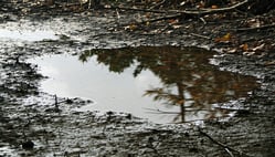 The Epic Journey of a Water Droplet: From Evaporation to Rain